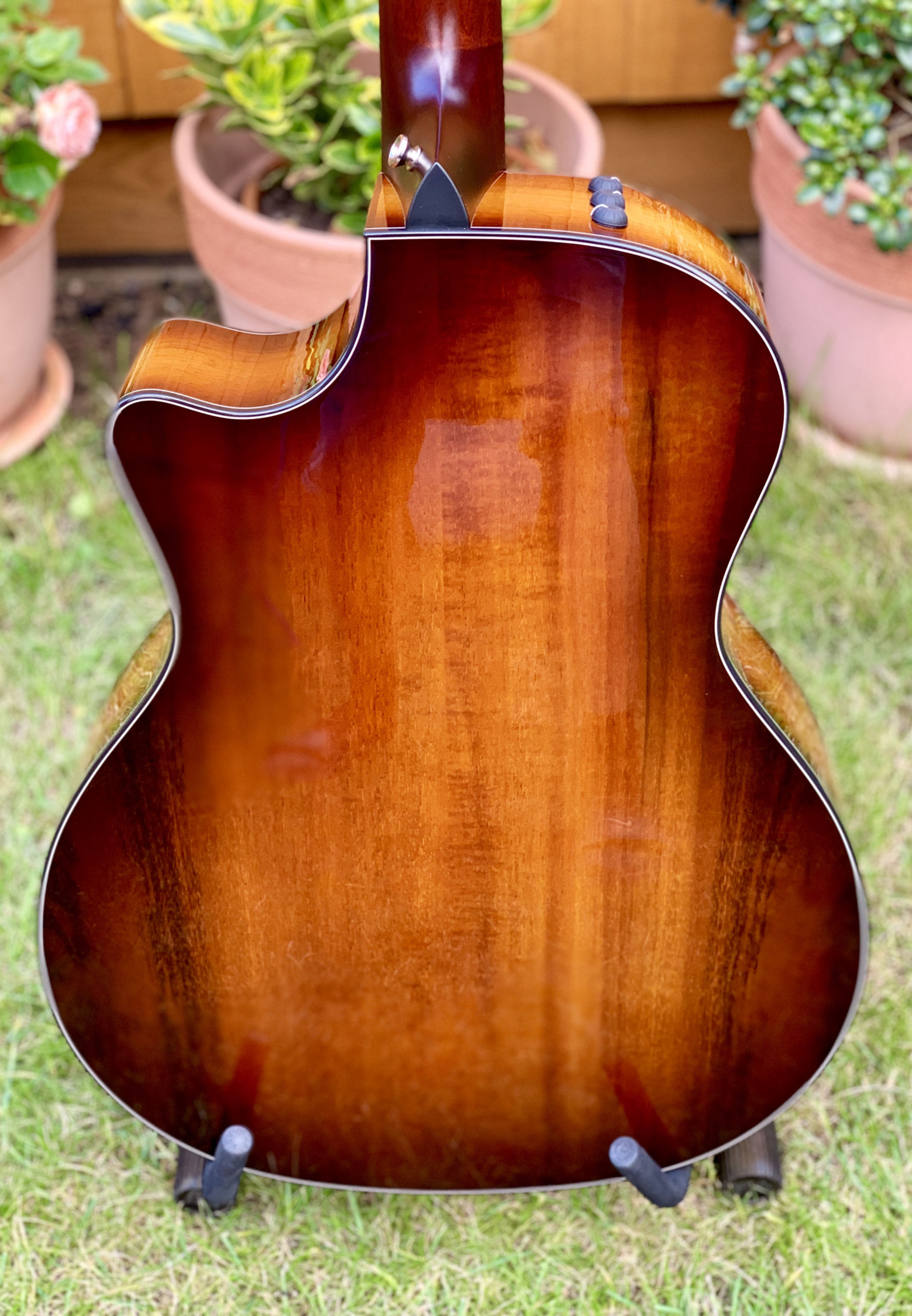 2017 Taylor 714ce LTD (SOLD) – Rolly's Guitars